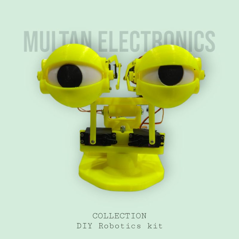 DIY Animatronic Robot smooth Cute eyeballs Kit | MULTAN ELECTRONICS