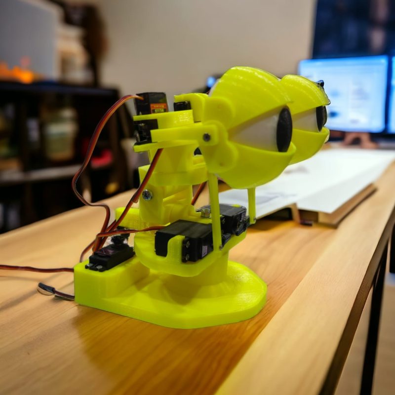 DIY Animatronic Robot smooth Cute eyeballs Kit | MULTAN ELECTRONICS